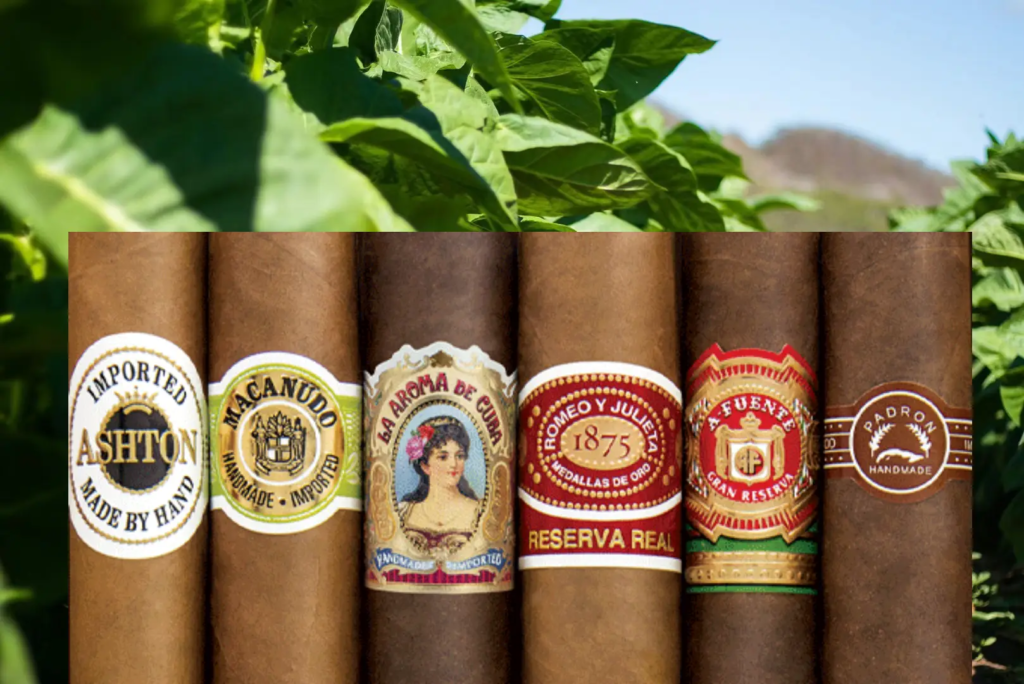 The Best Cigar: For Novices, What Are the Best Cigars? - True Source ...
